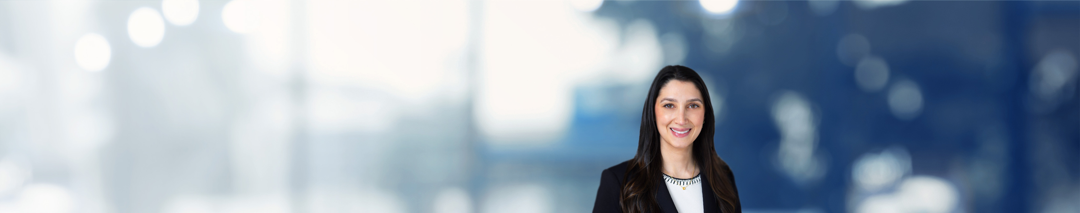 Amit Roitman: Law Firm, Attorneys, Lawyers - Honigman